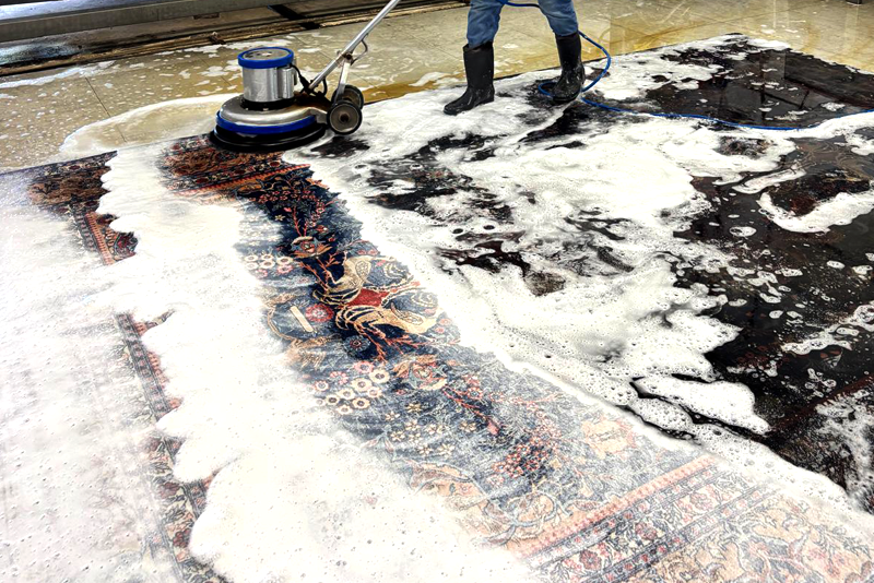 Fort Lauderdale Carpet Cleaning